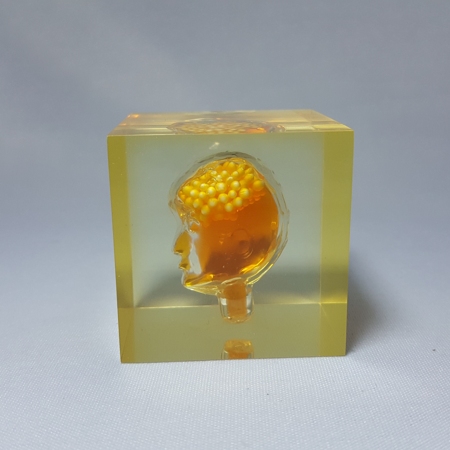 Acrylic Paperweight Brain Design | Desk Organizers | Apex Imports