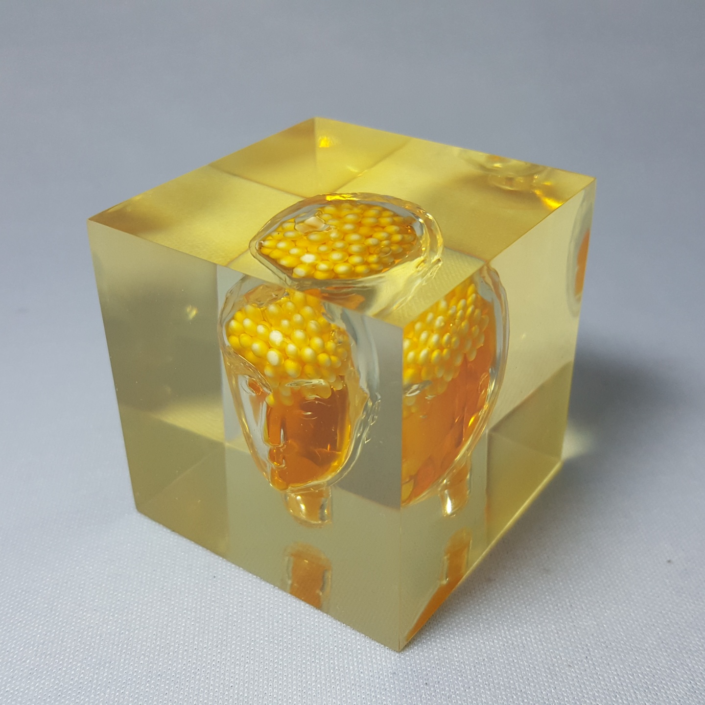 Acrylic Paperweight Brain Design | Desk Organizers | Apex Imports